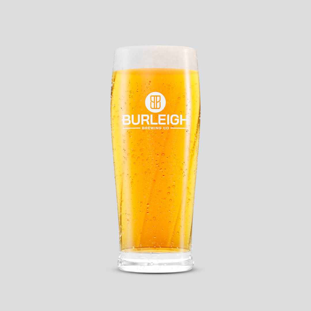 Shop | Bighead Mid No Carb Lager – Burleigh Brewing Company